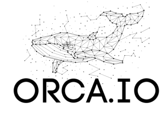 ORCA Official Logo – Transparent – ORCA.IO